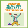 고혈압 낮추는법 원인 증상 수치 및 고혈압에 좋은 음식 고혈압보험 한번에정리 네이버 블로그